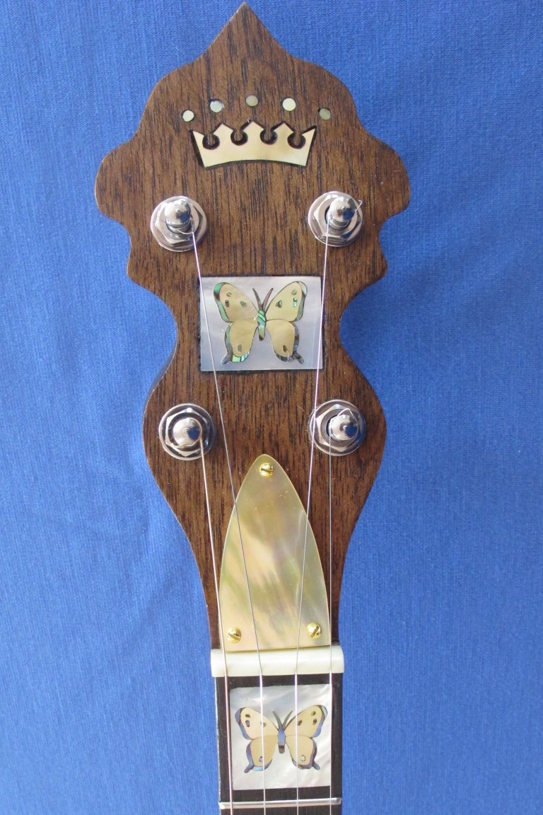 Solar Rays and Butterflies | Banjo Rehab Center, Banjo Restoration