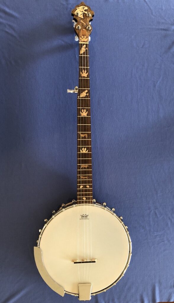 Patrons` Party | Banjo Rehab Center, Banjo Restoration